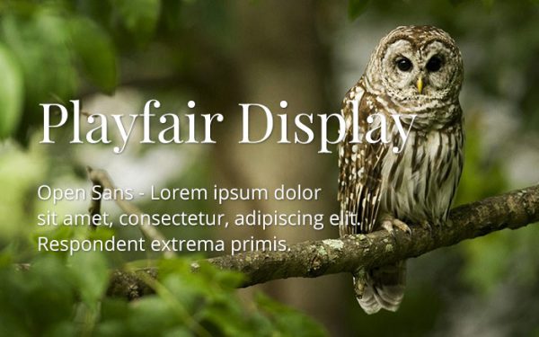 +5 (more) Excellent Google Font Combinations - ThePixelPixie