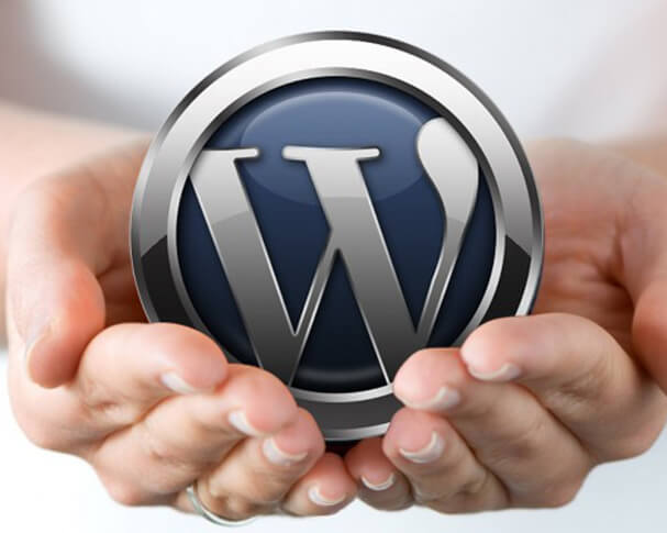 Enabling HTML in your category & taxonomy descriptions - ThePixelPixie